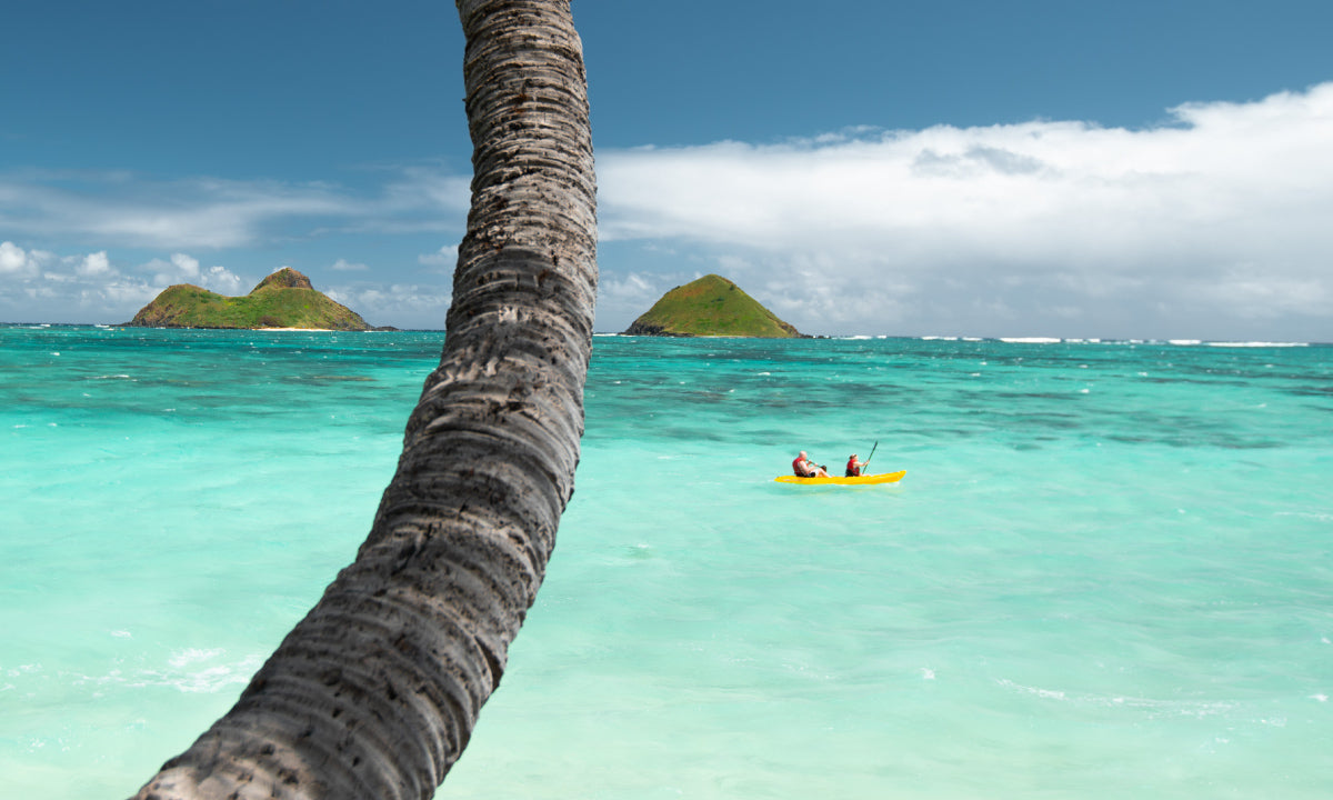 幸せな第二の人生、それは「ハワイでビジネス」!? – WAAP